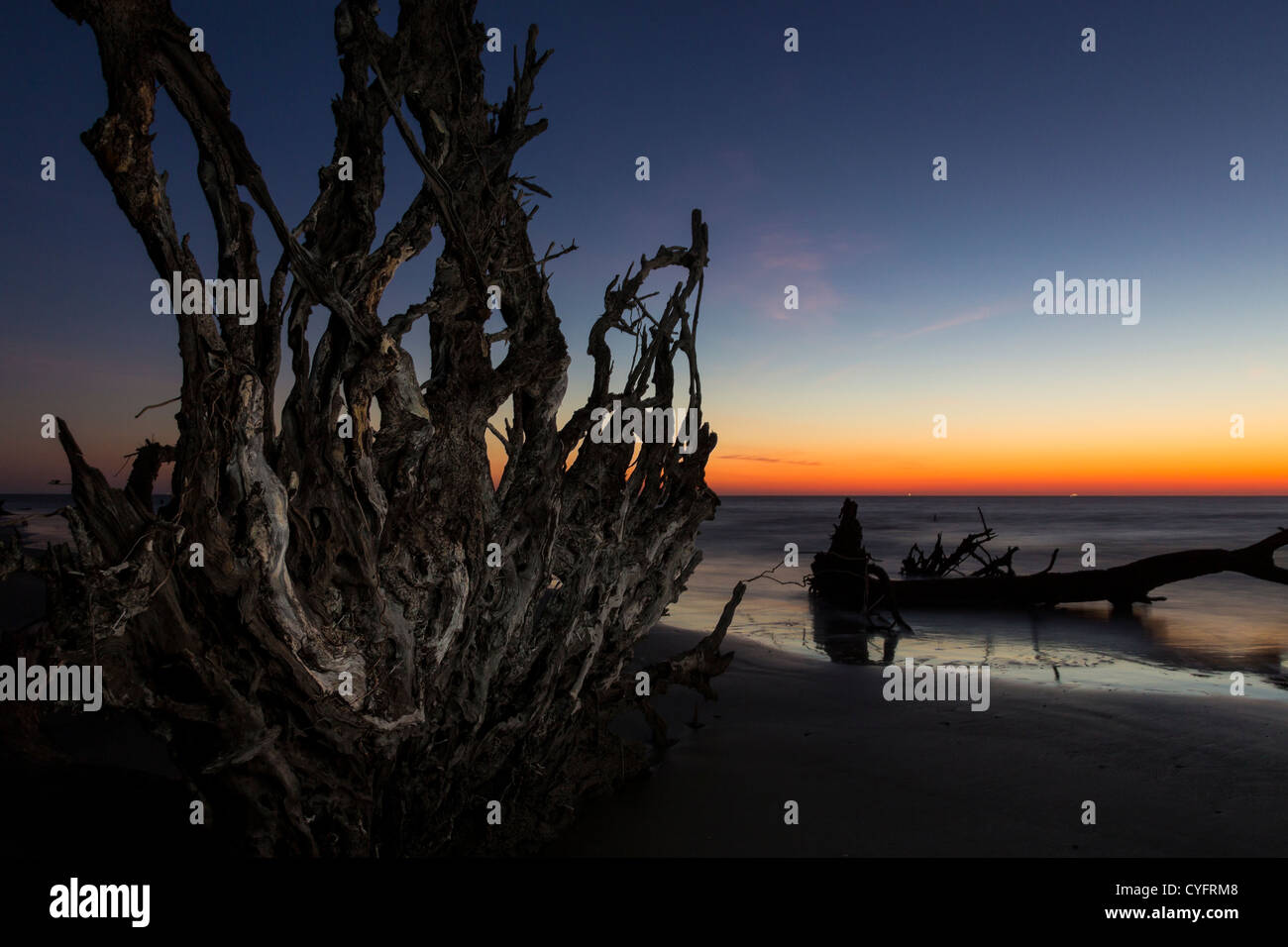 Sunrise over Boneyard Beach on Bulls Island Stock Photo - Alamy