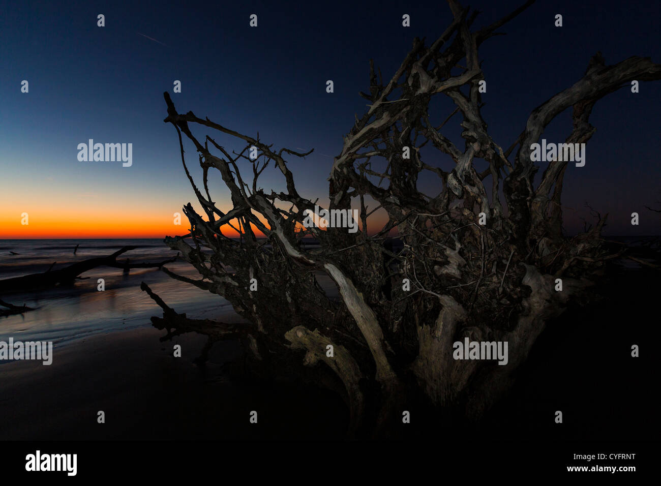 Sunrise over Boneyard Beach on Bulls Island Stock Photo - Alamy
