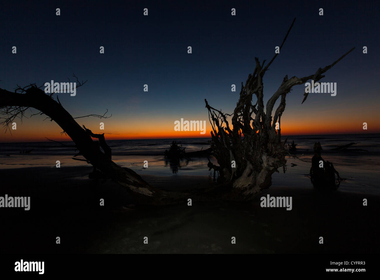 Sunrise over Boneyard Beach on Bulls Island Stock Photo - Alamy