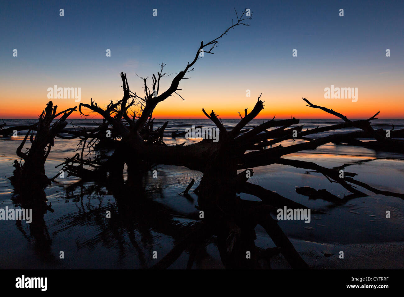 Sunrise over Boneyard Beach on Bulls Island Stock Photo - Alamy