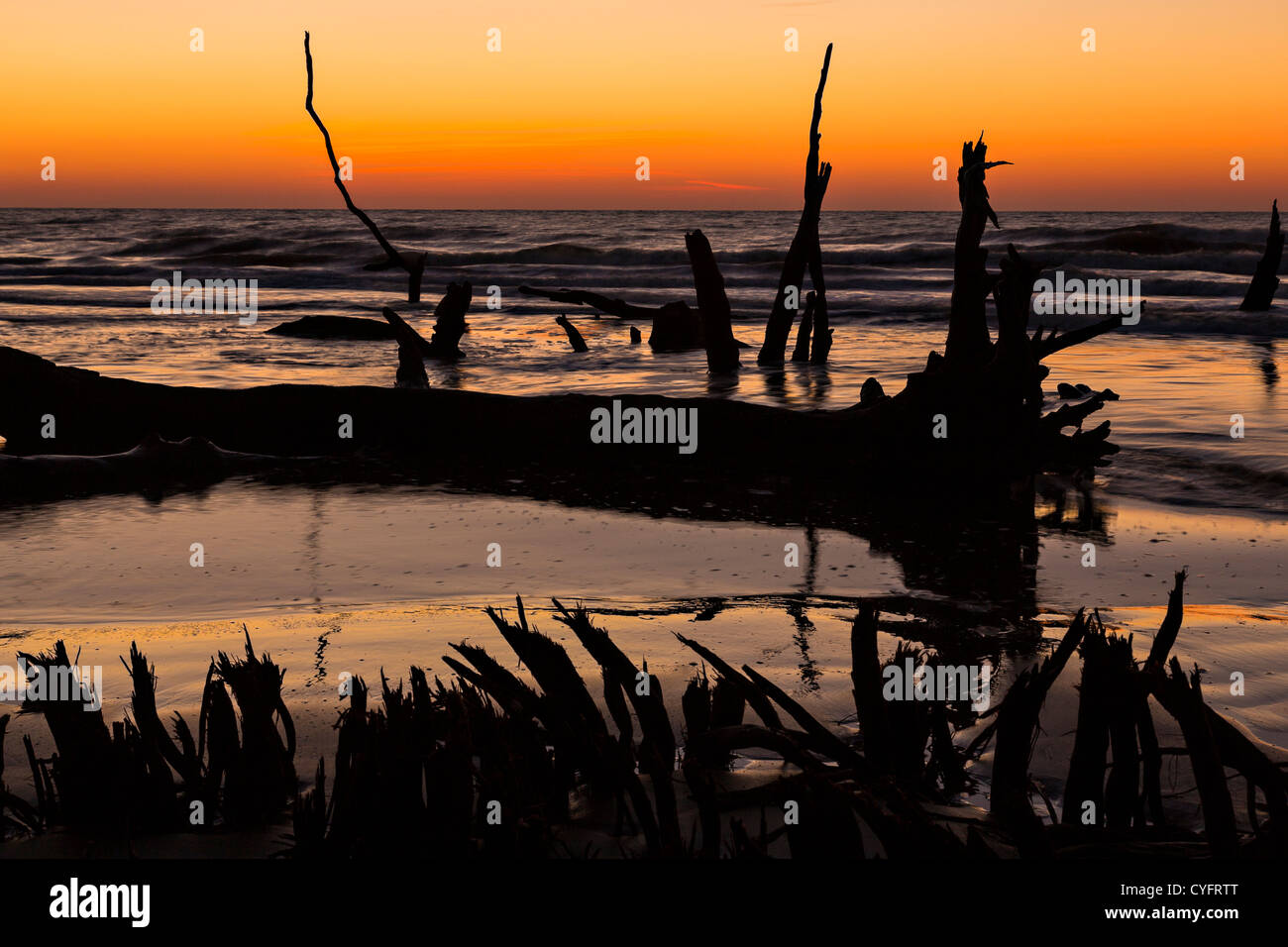 Sunrise over Boneyard Beach on Bulls Island Stock Photo - Alamy