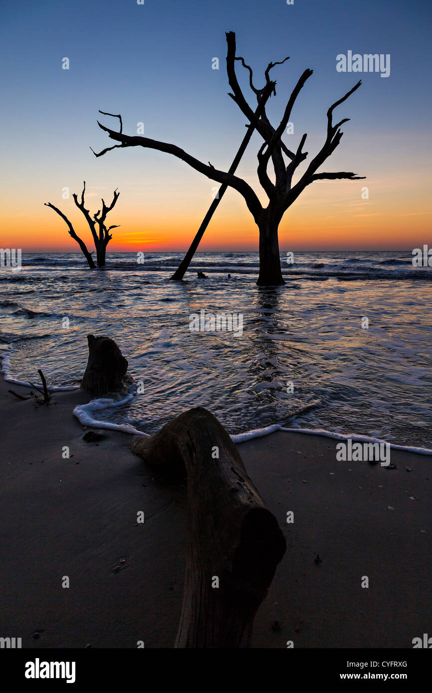 Sunrise over Boneyard Beach on Bulls Island Stock Photo - Alamy