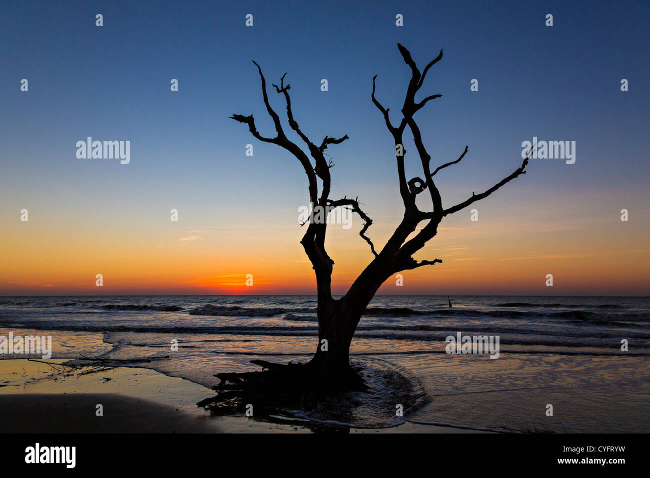 Barrier island carolina hi-res stock photography and images - Alamy