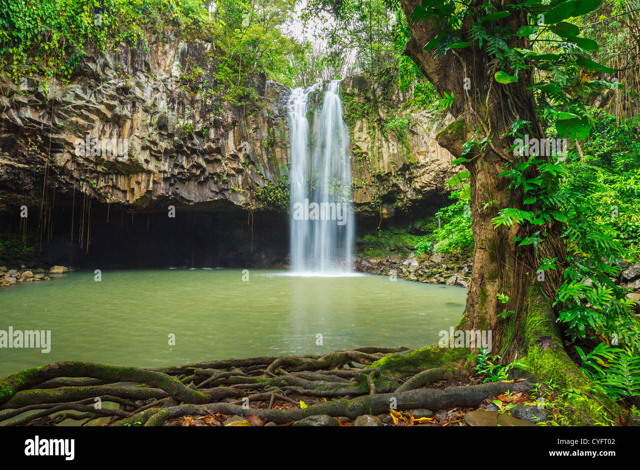 Beautiful Tropical Waterfall in Hawaii Stock Photo - Alamy