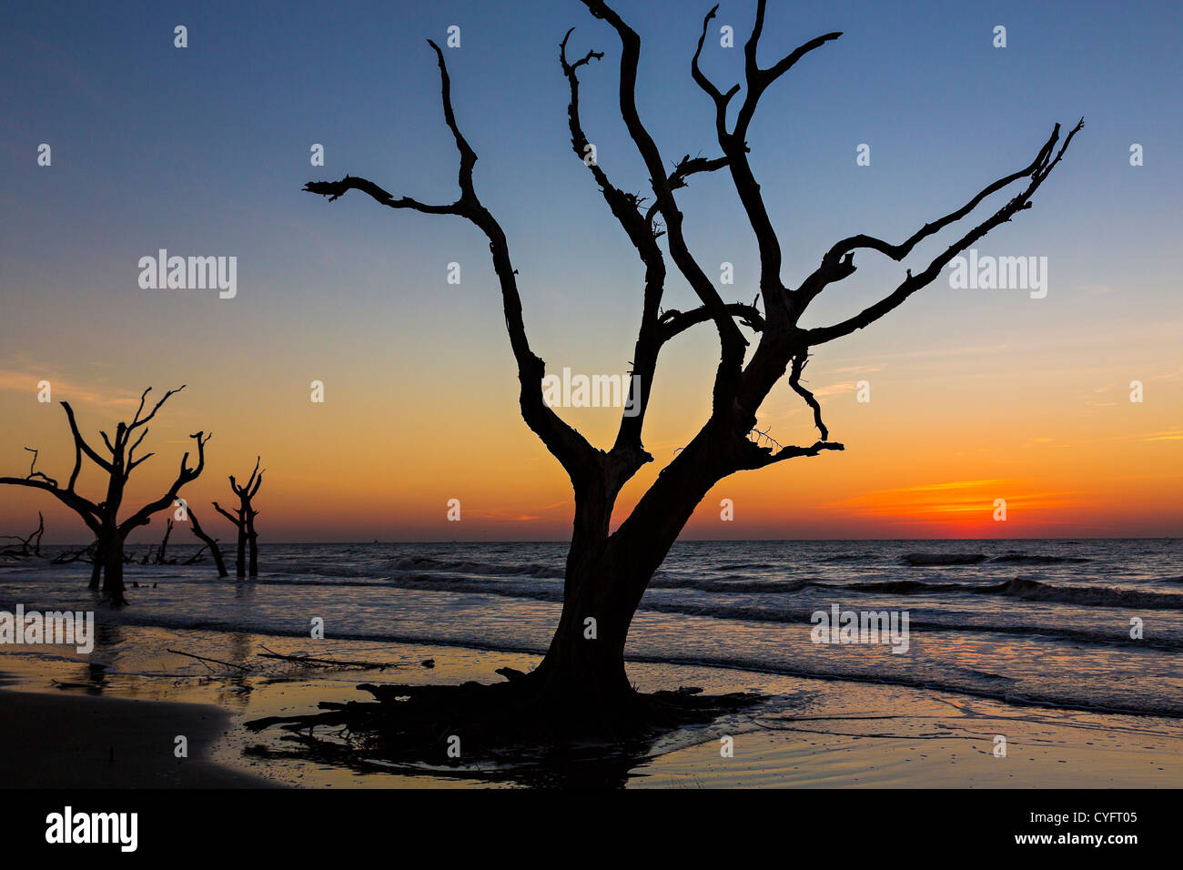 Sunrise over Boneyard Beach on Bulls Island, South Carolina Stock Photo ...