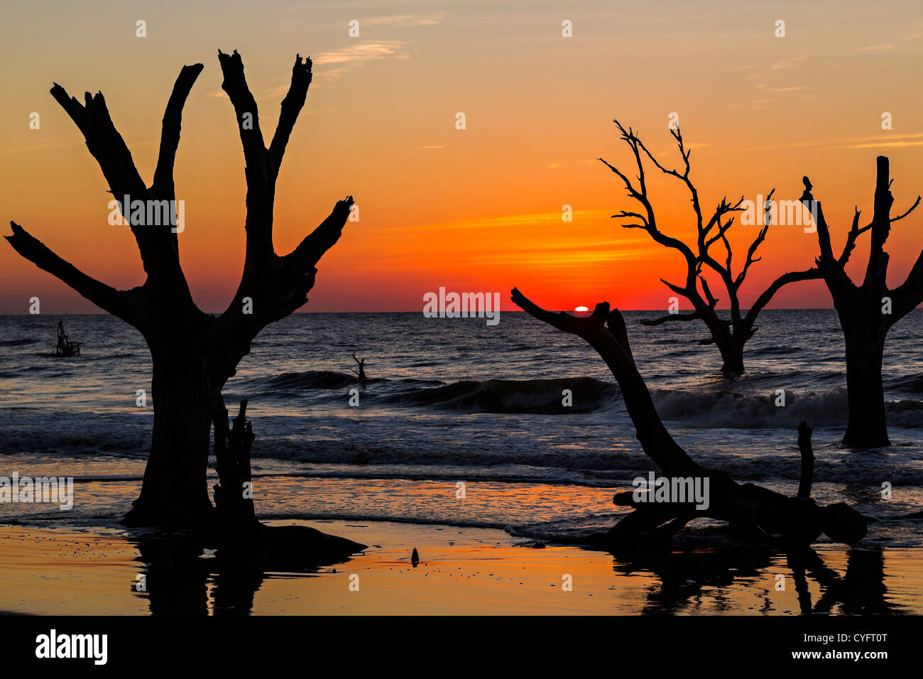 Sunrise over Boneyard Beach on Bulls Island, South Carolina Stock Photo ...
