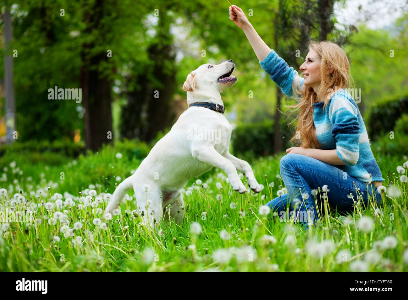 Playing with dog Stock Photo - Alamy