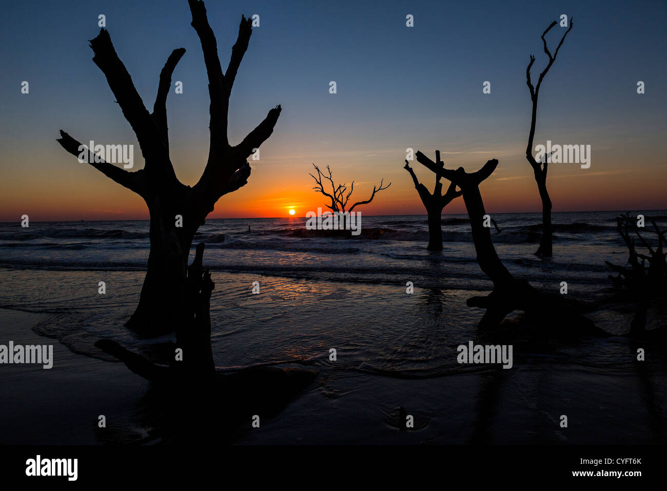 Sunrise over Boneyard Beach on Bulls Island, South Carolina Stock Photo ...