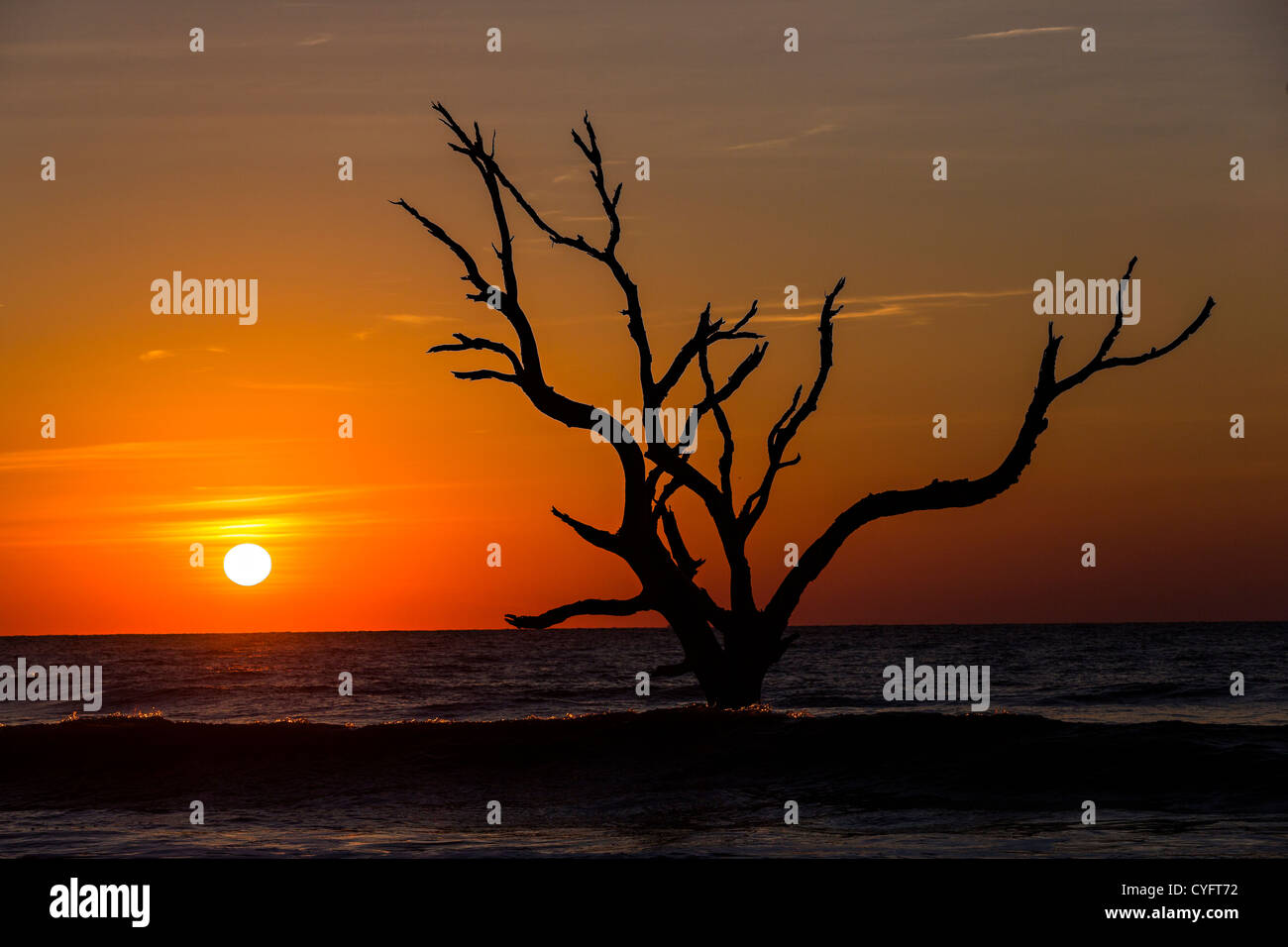 Sunrise over Boneyard Beach on Bulls Island, South Carolina Stock Photo ...
