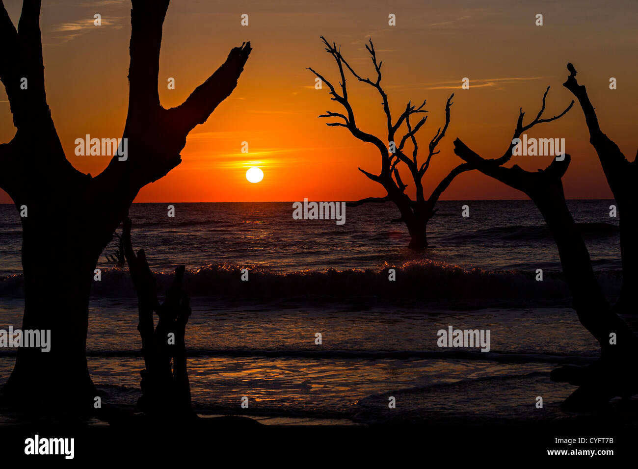 Sunrise over Boneyard Beach on Bulls Island, South Carolina Stock Photo ...