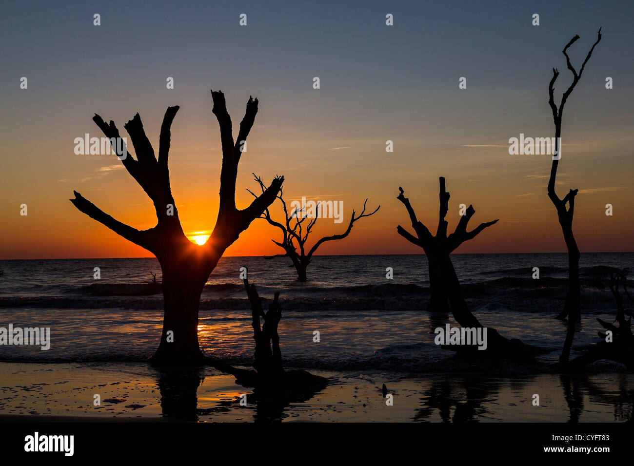 Sunrise over Boneyard Beach on Bulls Island, South Carolina Stock Photo ...
