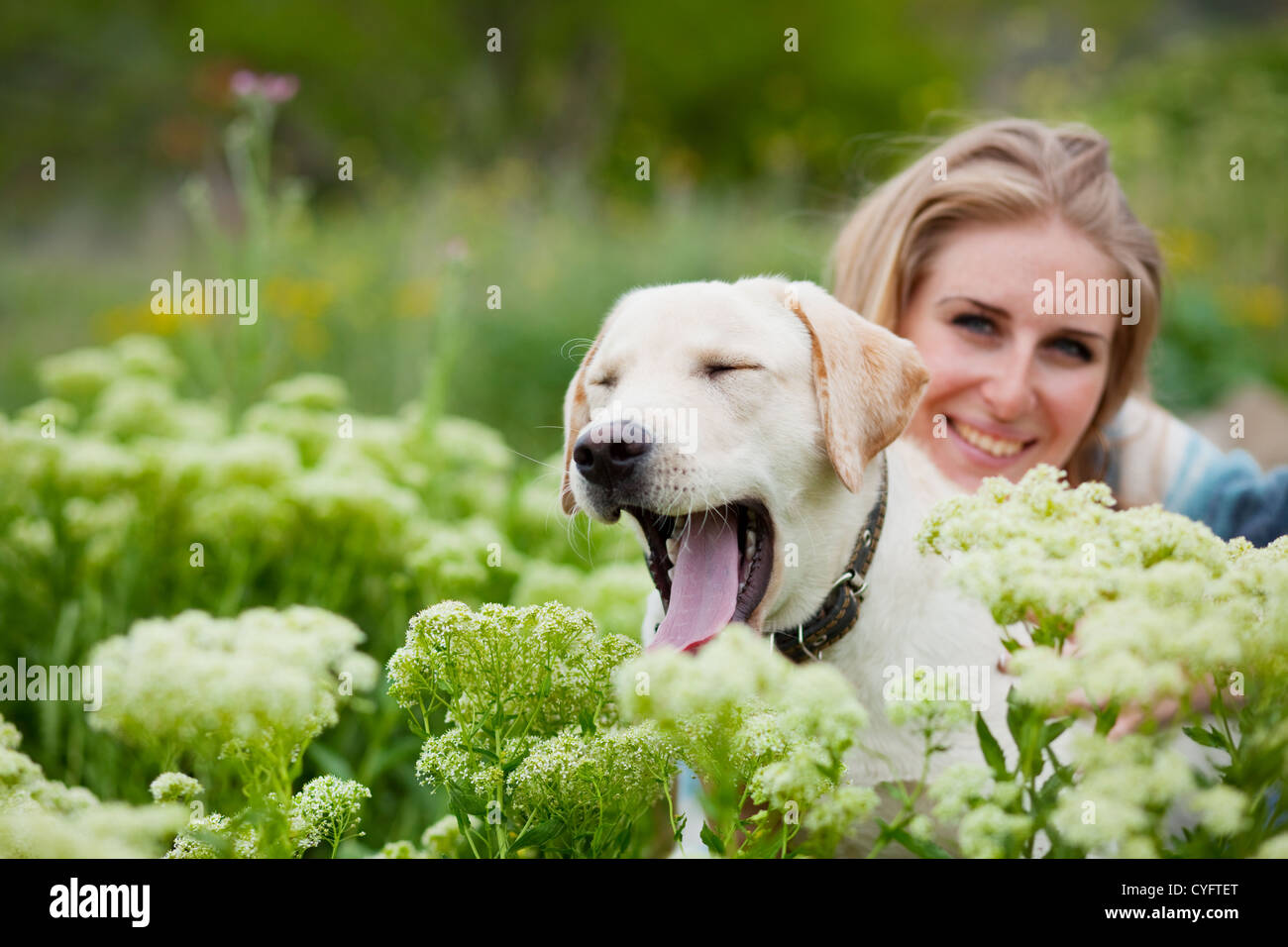Girl with labrador Stock Photo - Alamy