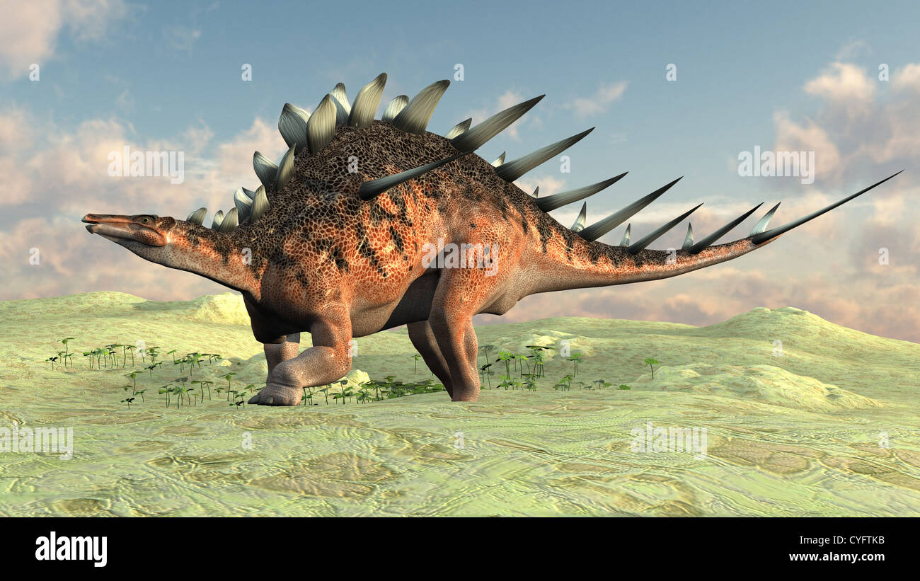 3d illustration of the walking kentrosaurus dinosaur Stock Photo - Alamy
