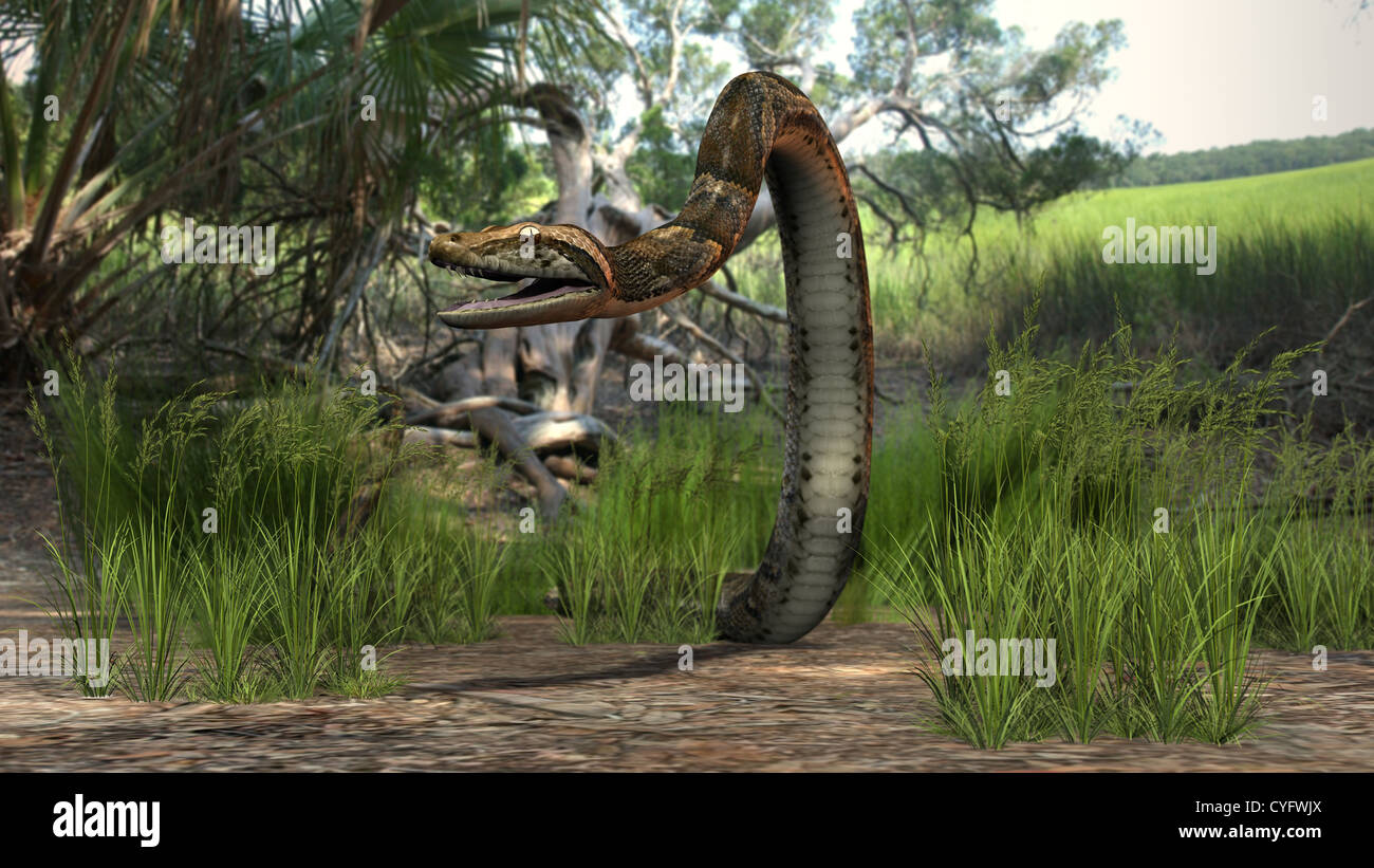 3d illustration of the green python snake in swamp water Stock Photo ...