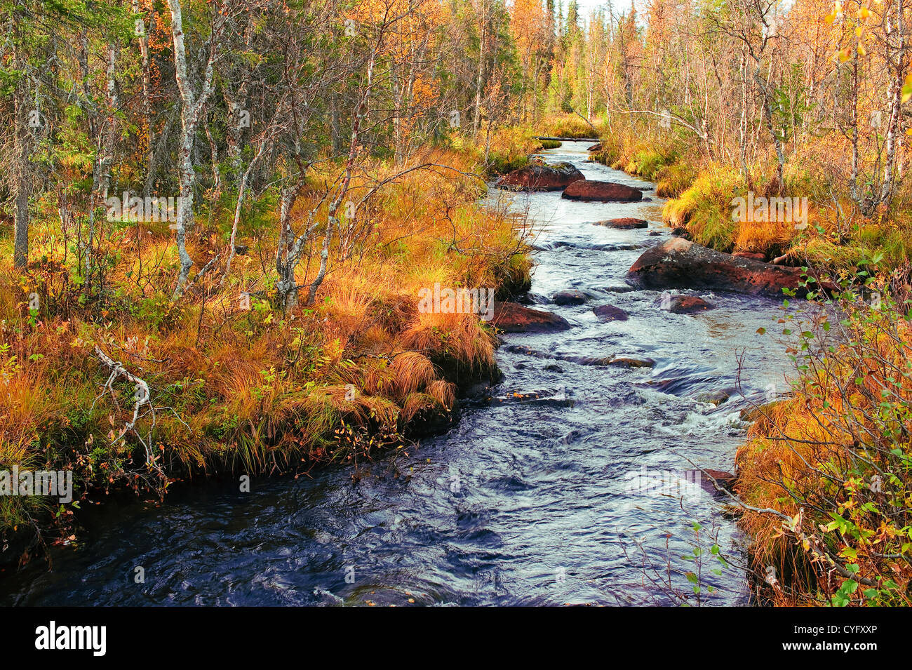 Little river in the north of Sweden Stock Photo - Alamy