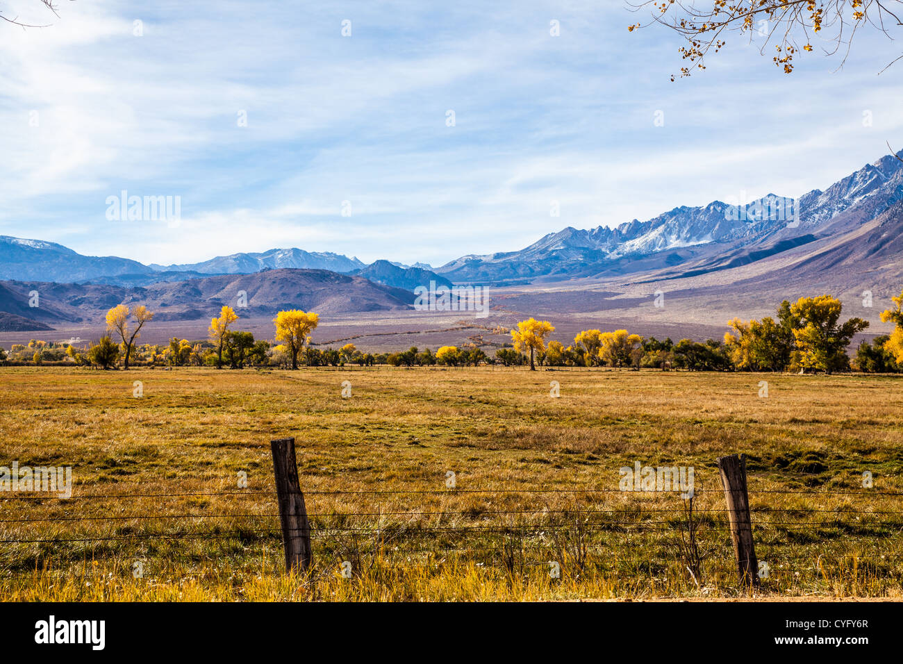 Round Valley Fall Colors in the Eastern Sierra Nevada mountains near ...