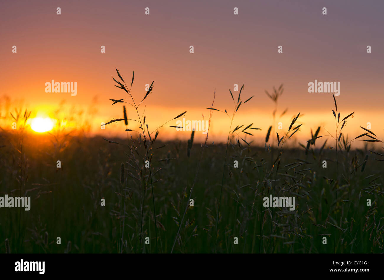 Canadian sunset hi-res stock photography and images - Alamy