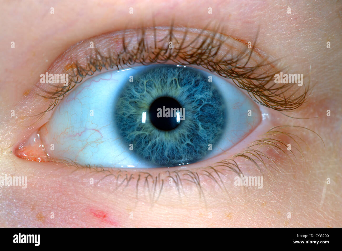 Close up of Youthful Eye Stock Photo - Alamy