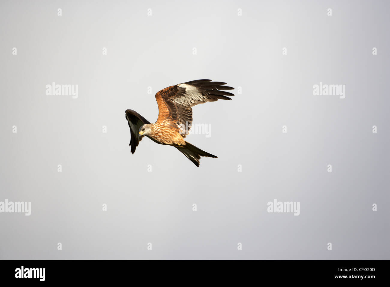 Llanddeusant hi-res stock photography and images - Alamy