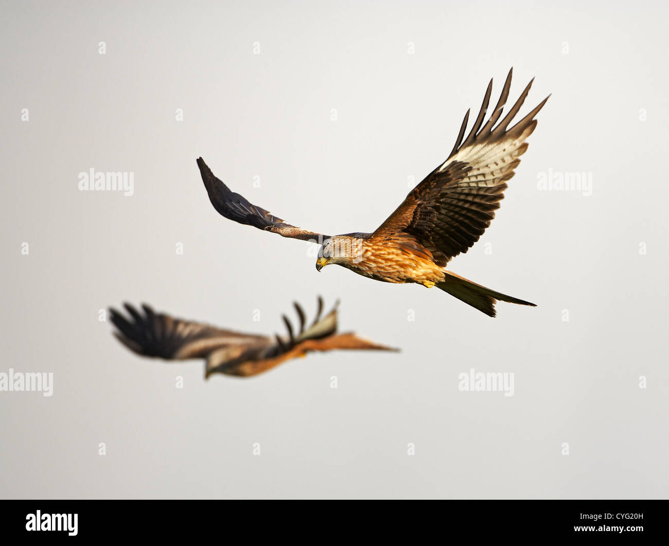 Llanddeusant hi-res stock photography and images - Alamy