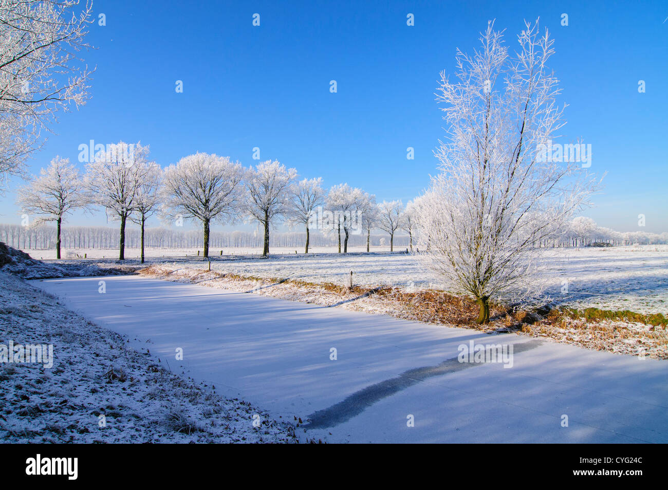 Winter landscape with rows of trees, snow and ice Stock Photo - Alamy