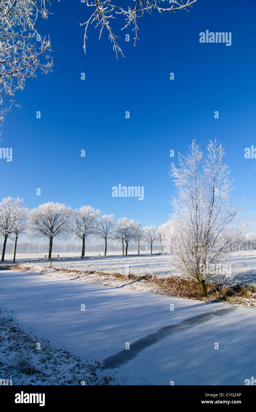 Winter landscape with rows of trees, snow and ice Stock Photo - Alamy