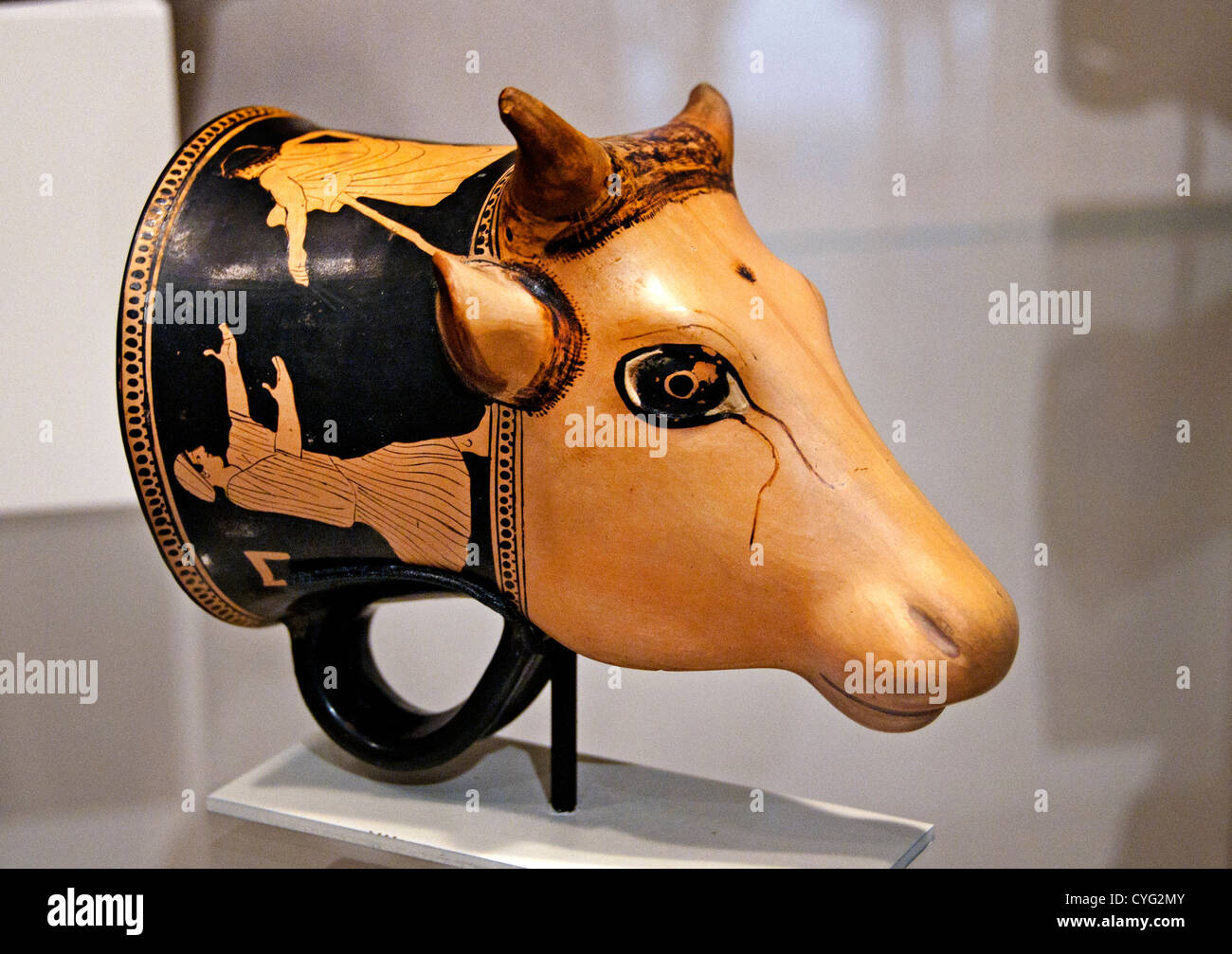 Cow head hi-res stock photography and images - Alamy