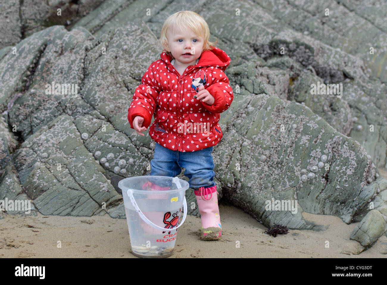 A young girl collecting shells in a bucket Stock Photo - Alamy