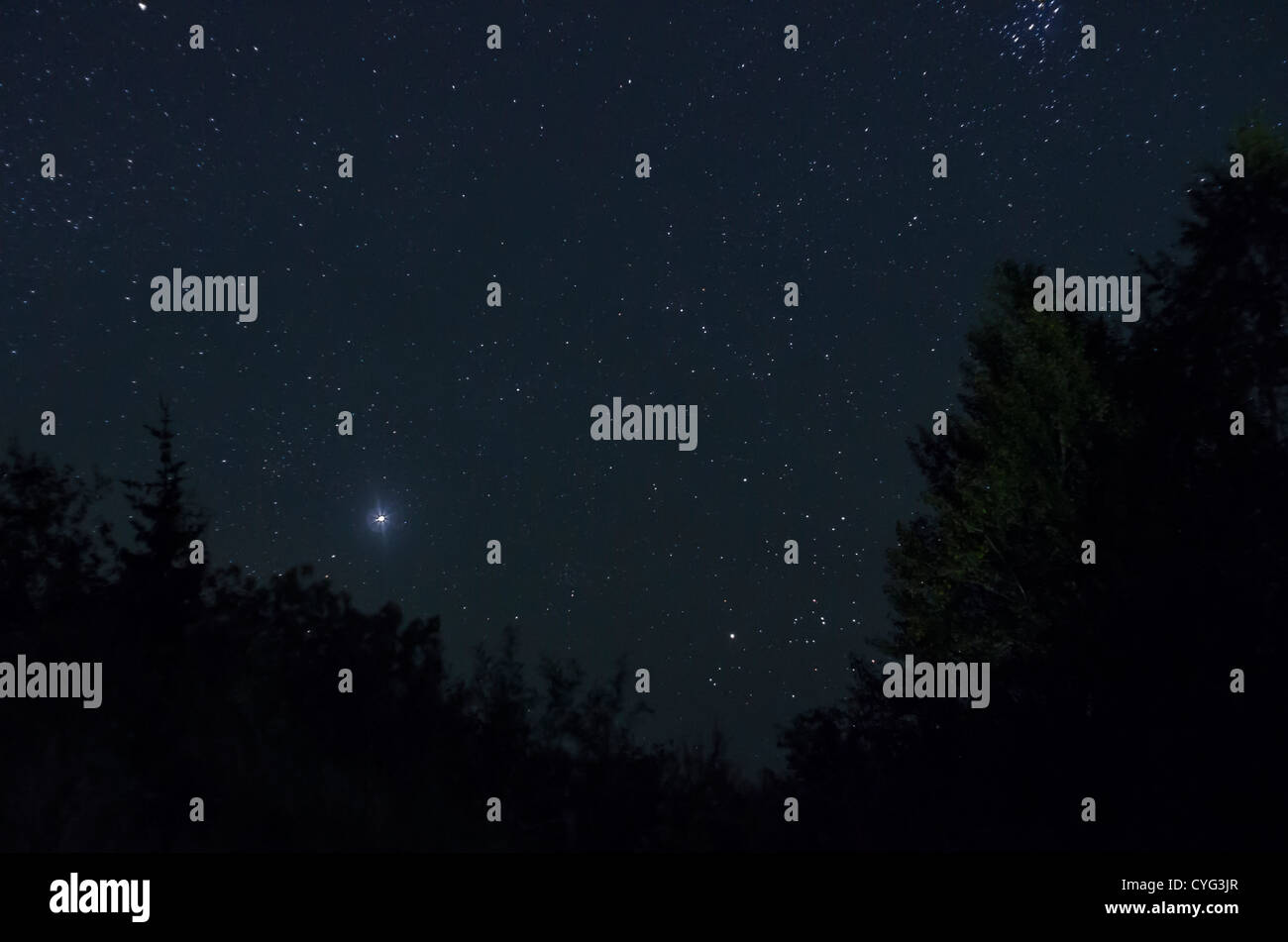 Starlight dark hi-res stock photography and images - Alamy