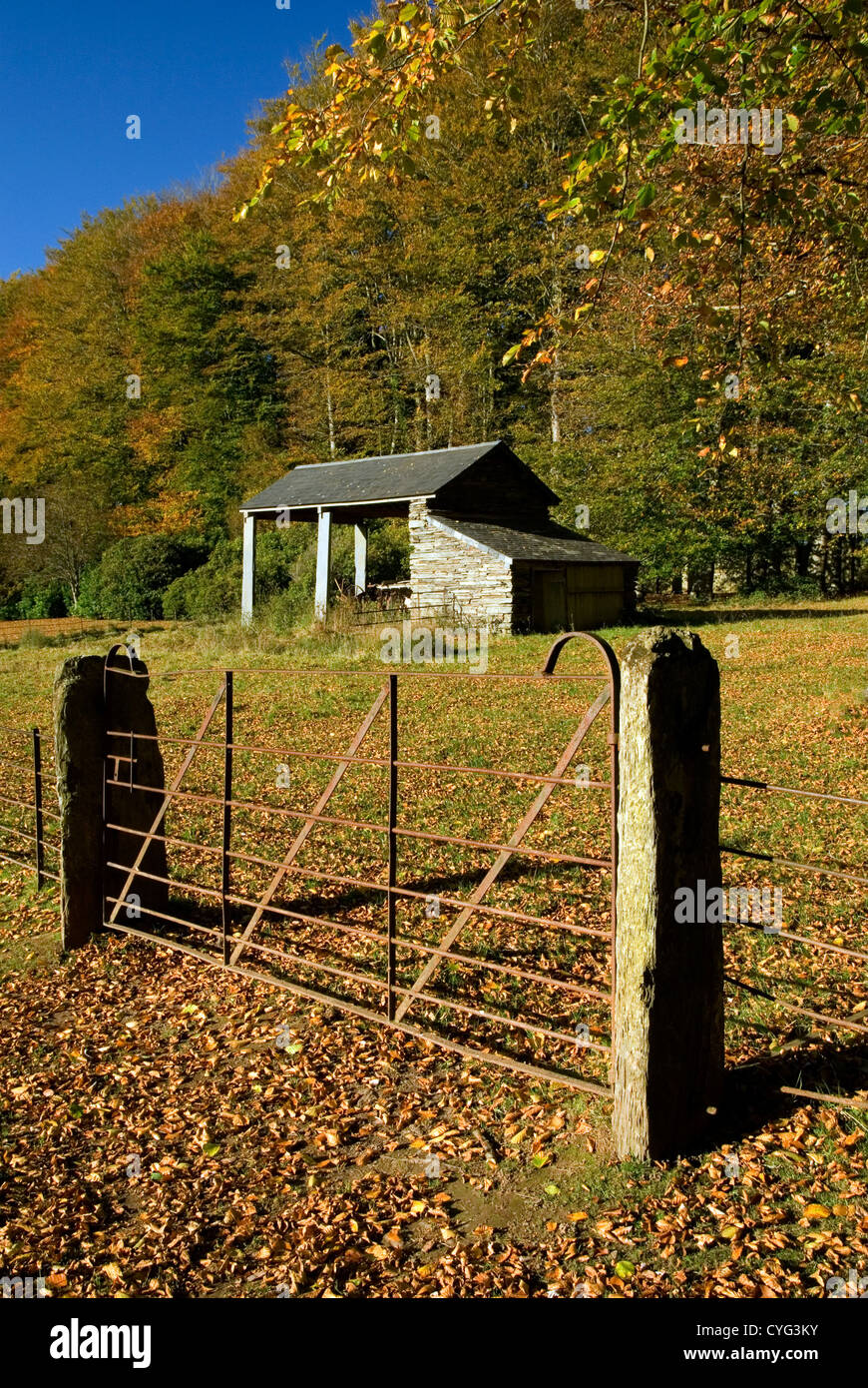 Maentwrog Hayshed originally from Gwynedd, North Wales St Fagans ...