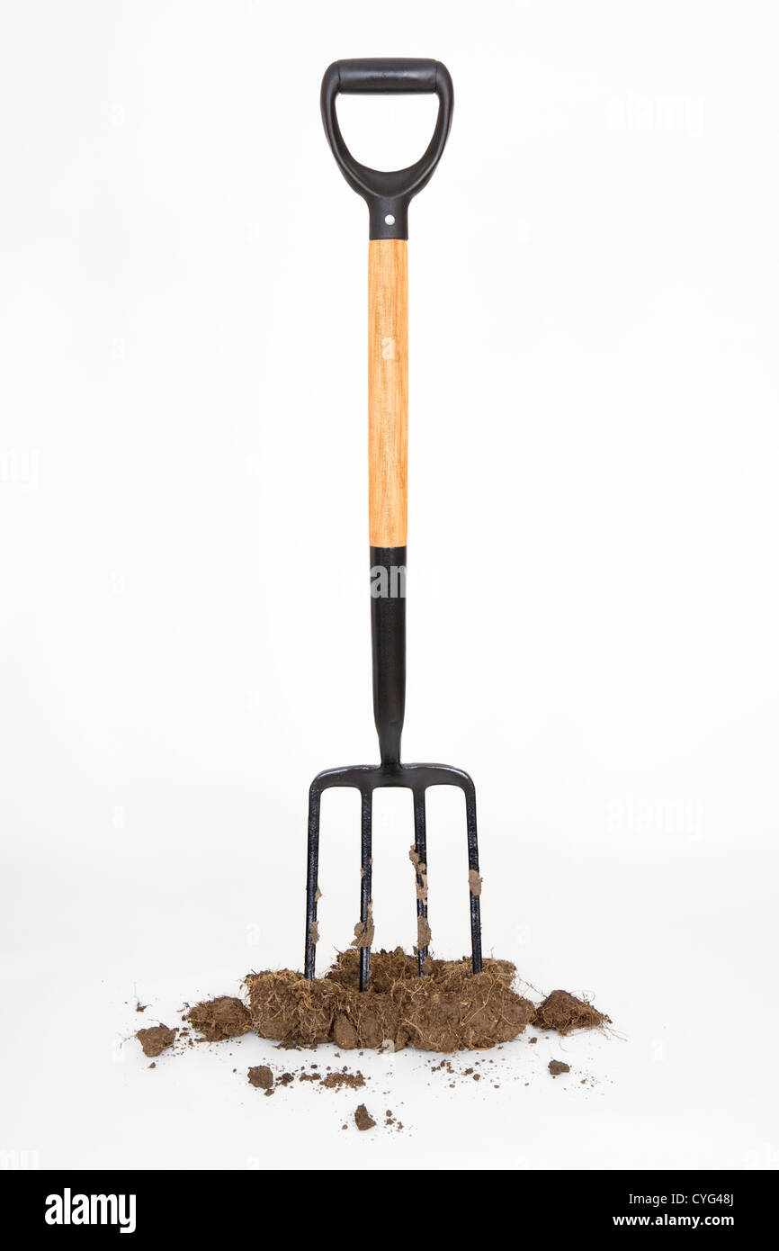 Garden fork stood in earth, white background Stock Photo - Alamy