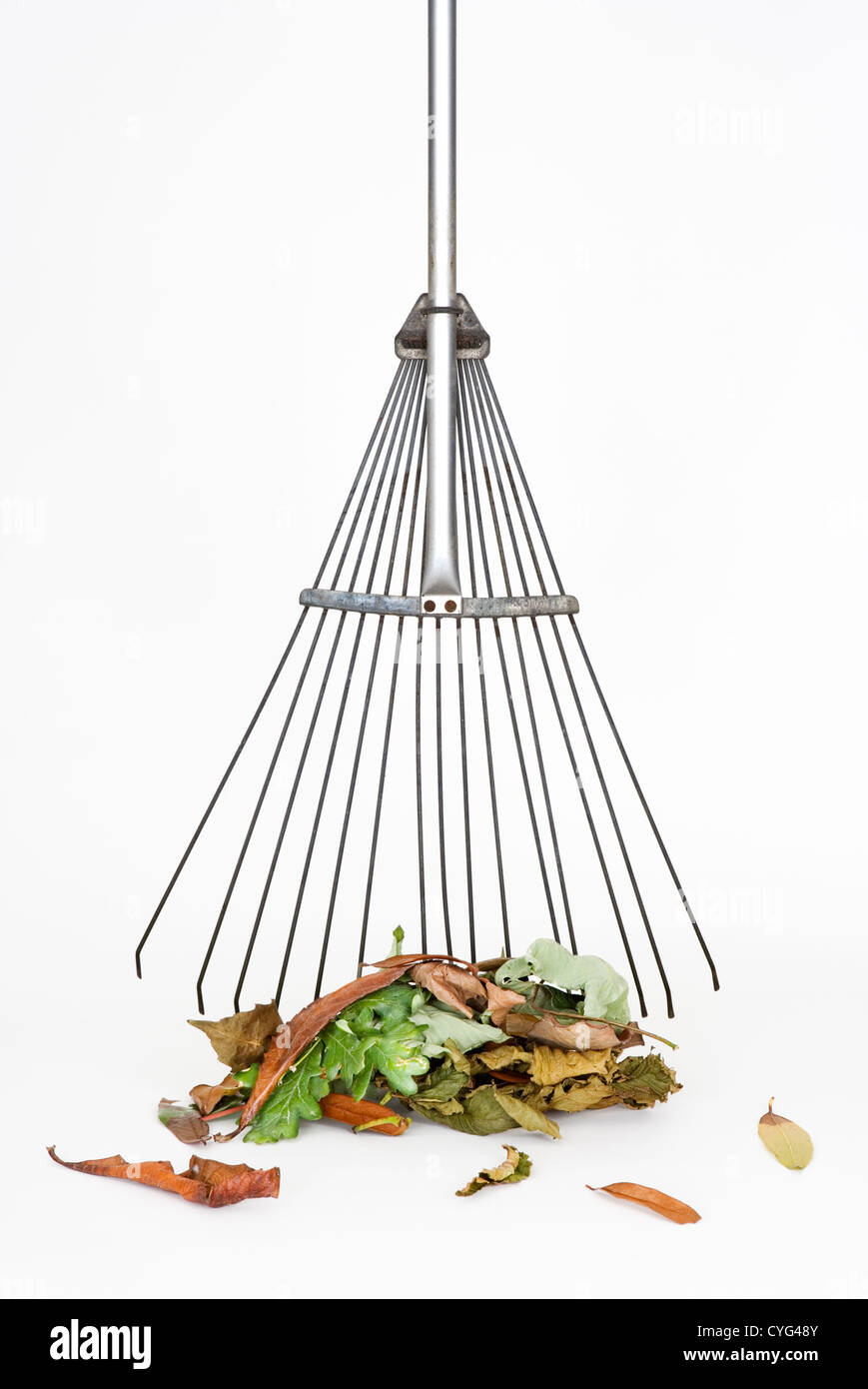 Garden rake and leaves, white background Stock Photo - Alamy