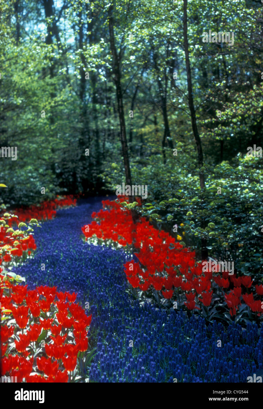 Pathway of flowers symbolising the path or the way to Righteousness ...