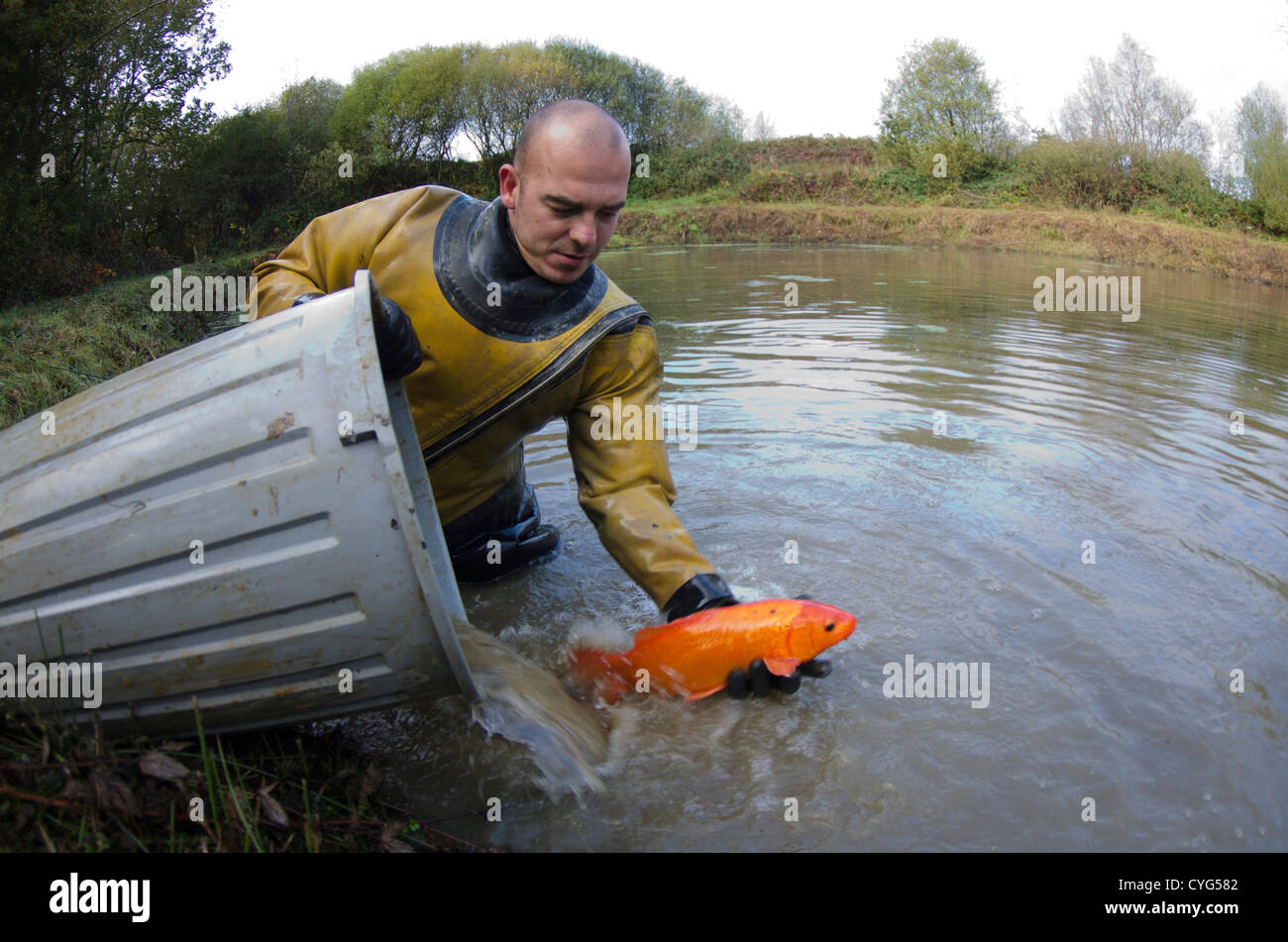 releasing the fish Stock Photo - Alamy