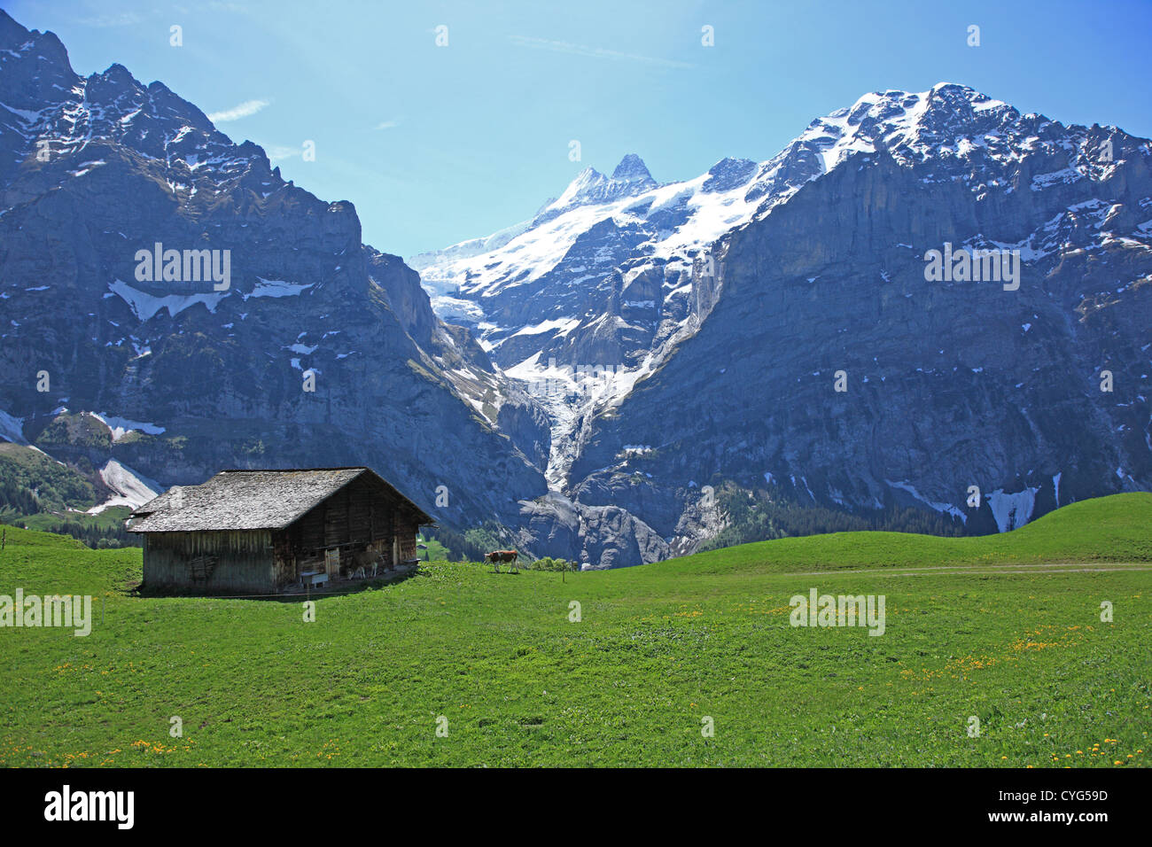 Switzerland grindelwald hi-res stock photography and images - Alamy