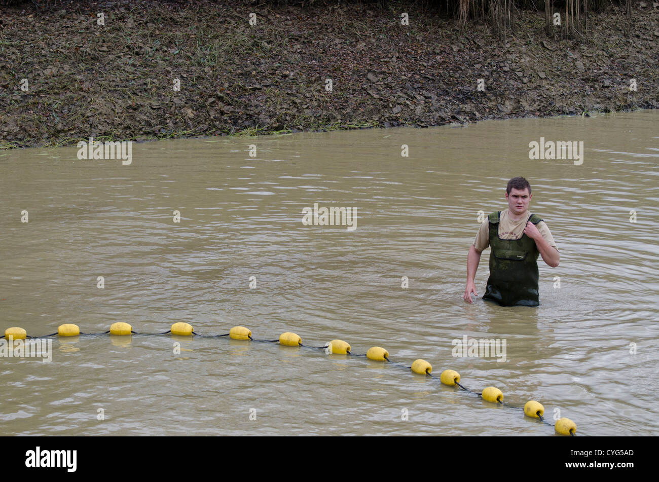 Collecting the fish Stock Photo - Alamy