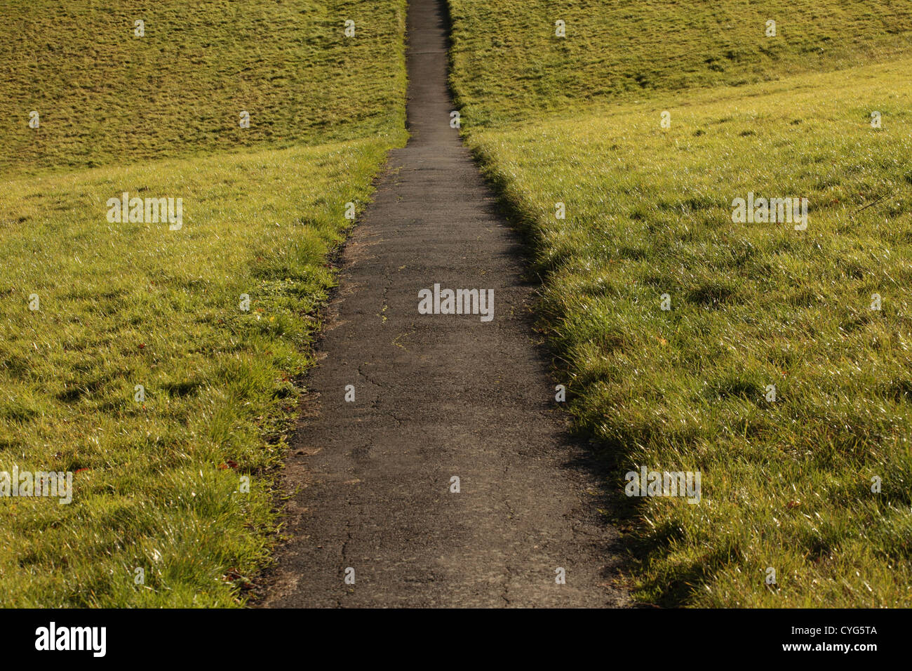 Footpath through an autumn green lawn in a public park UK Stock Photo ...