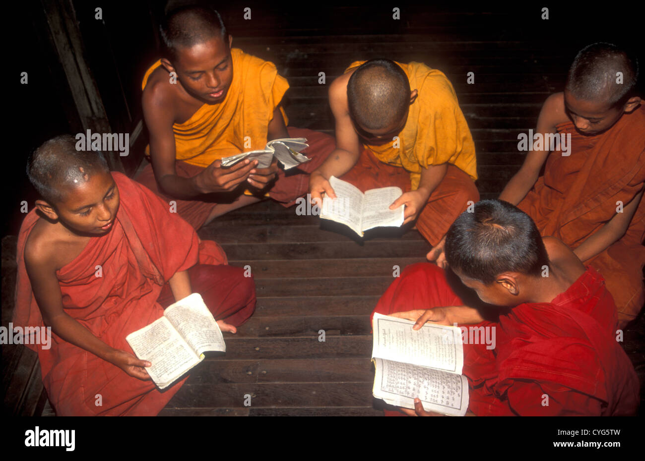 Five young Burmese monks studying text-books in a monastery, Myanmar ...