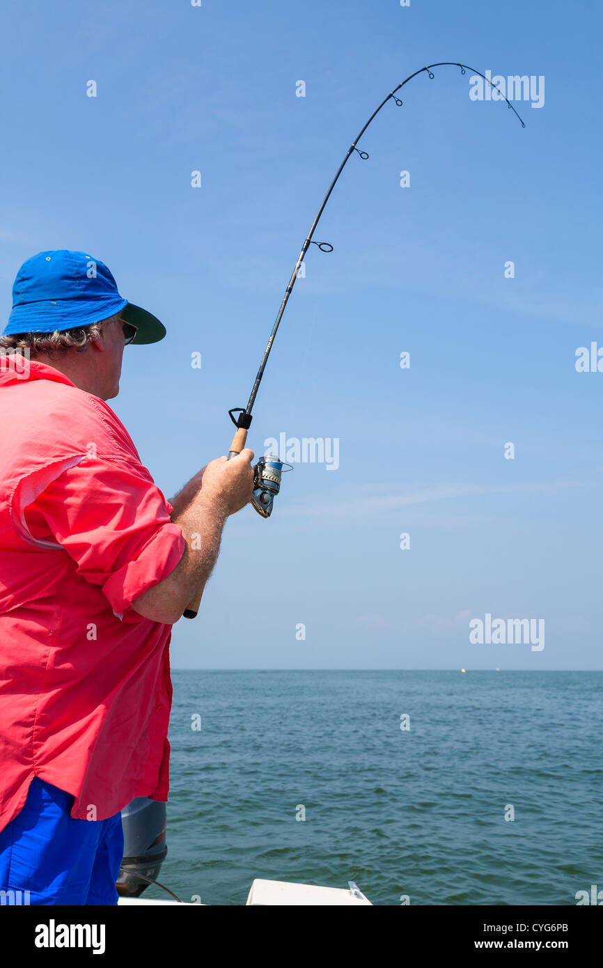 Angler plays a fish in the sun using spinning rod and reel Stock Photo ...