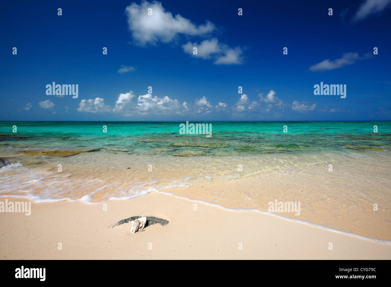 Beach scene bahamas hi-res stock photography and images - Alamy
