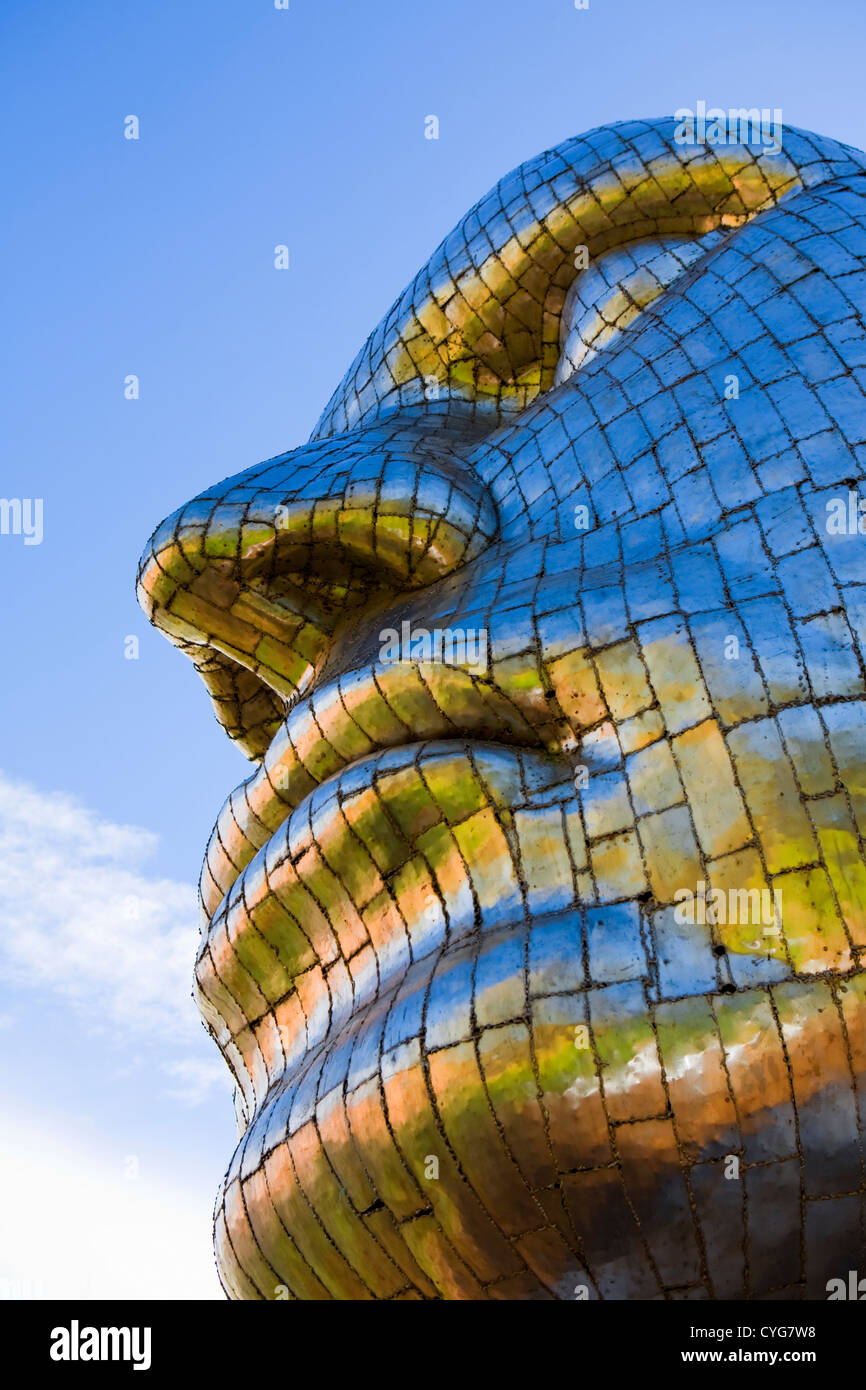 The Face of Wigan, 5.5m high stainless steel. highly reflective steel ...