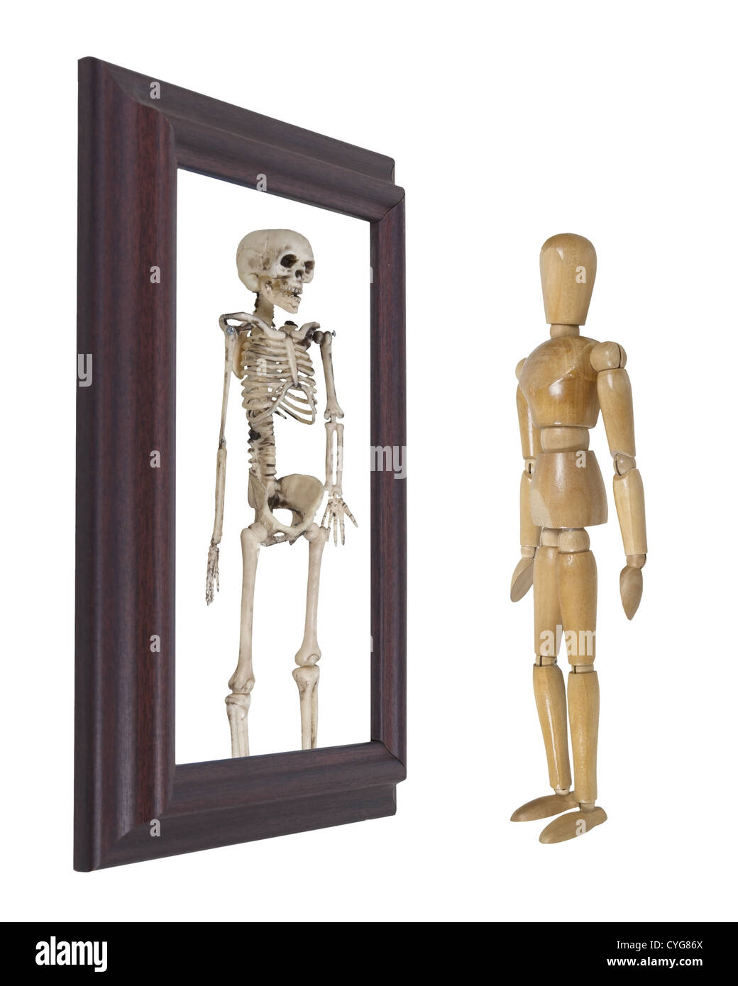 Model looking into a mirror and seeing a skeleton - path included Stock ...