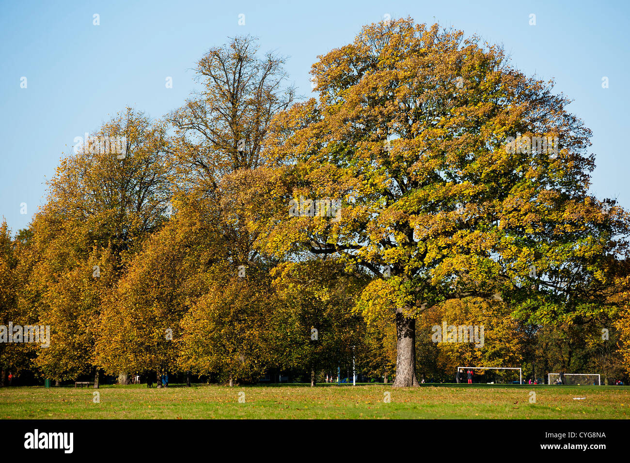 Clapham Common in the Autumn Stock Photo - Alamy