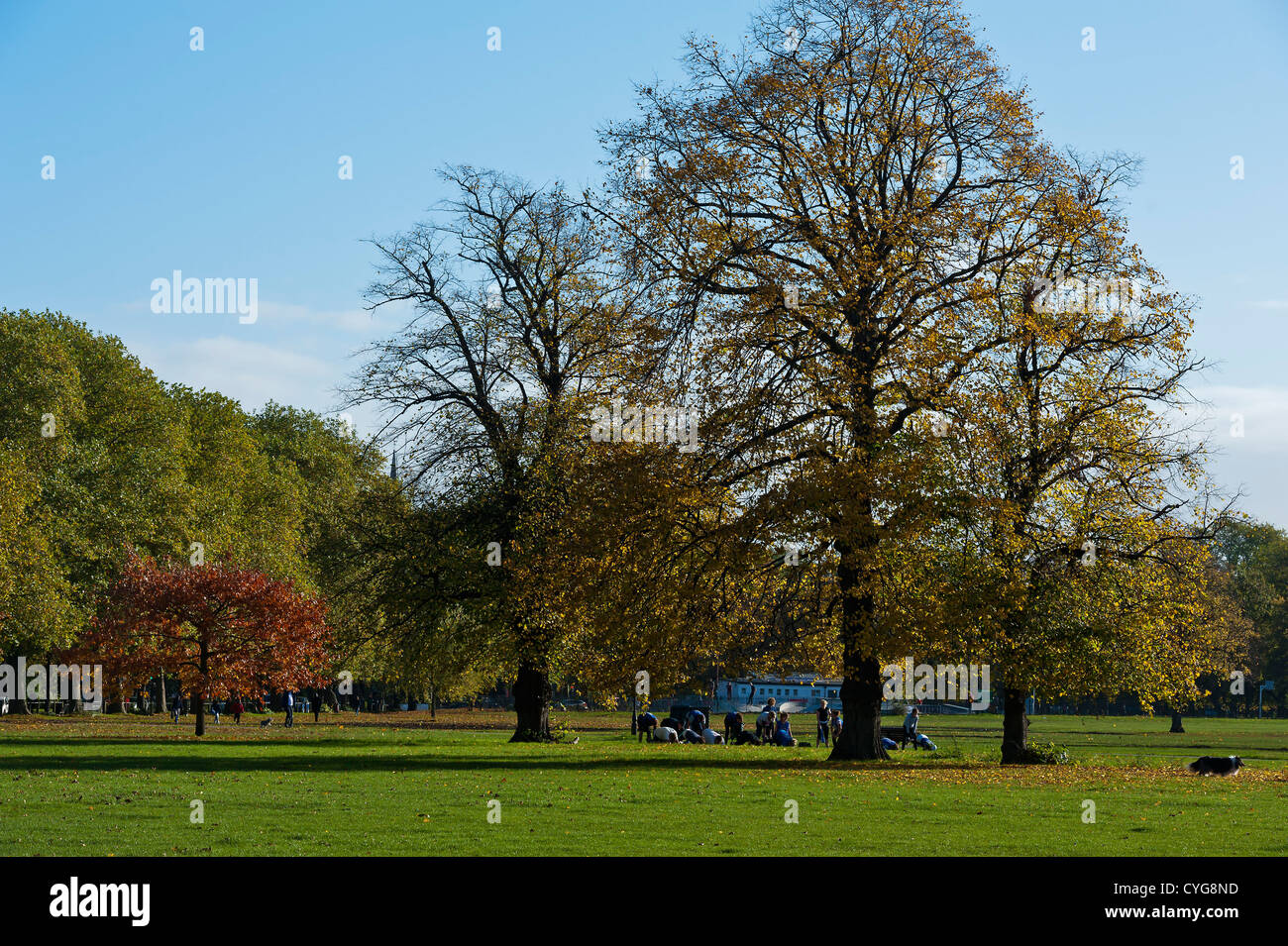 Military fitness hi-res stock photography and images - Alamy