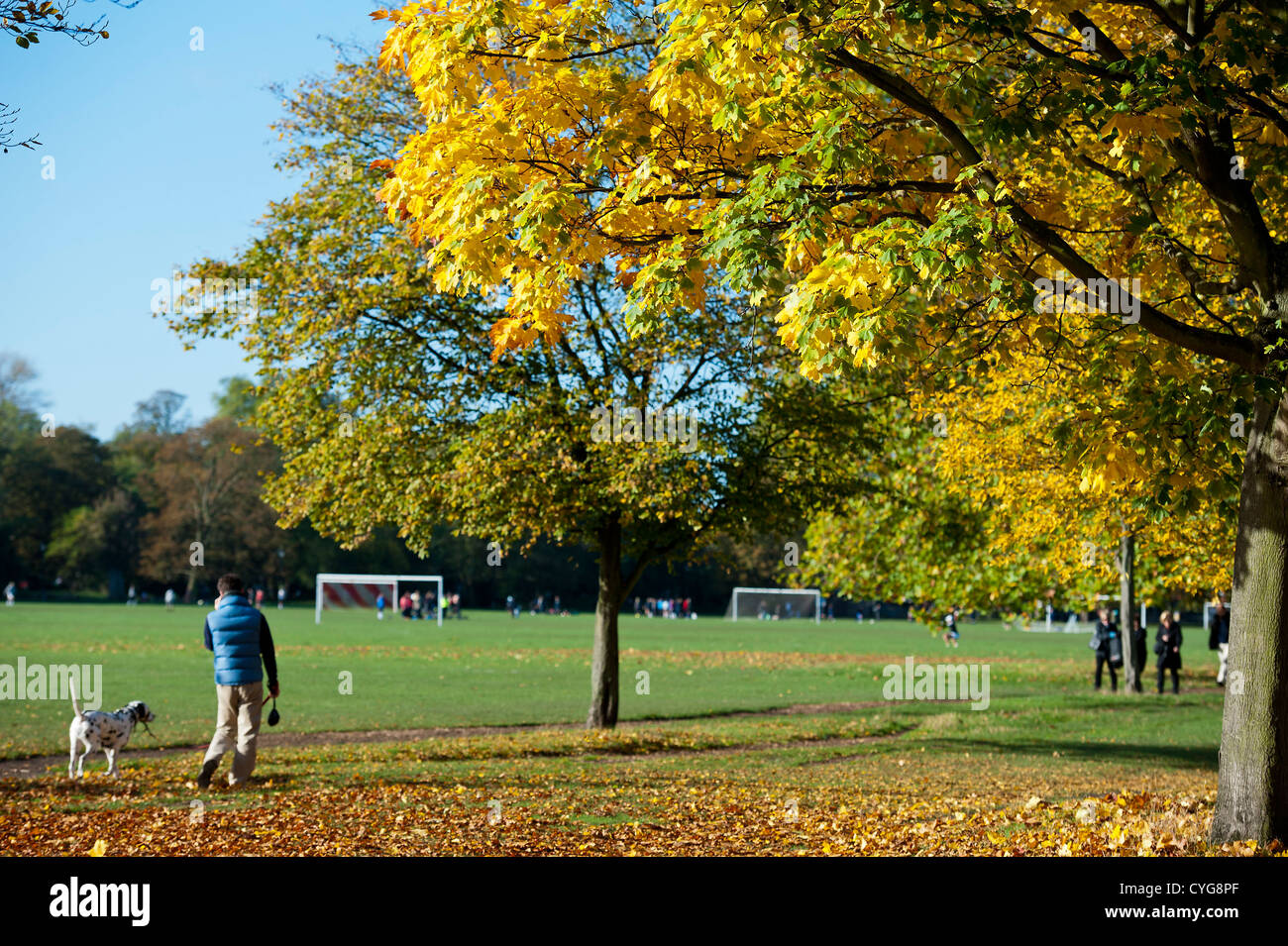 Clapham Common in the Autumn Stock Photo - Alamy