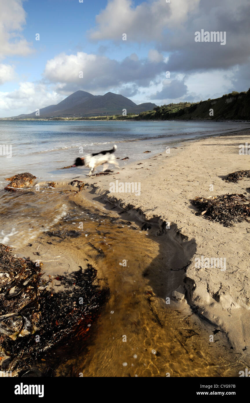 Croagh Patrick mountain viewed from Old Head Beach Clew Bay atlantic ...