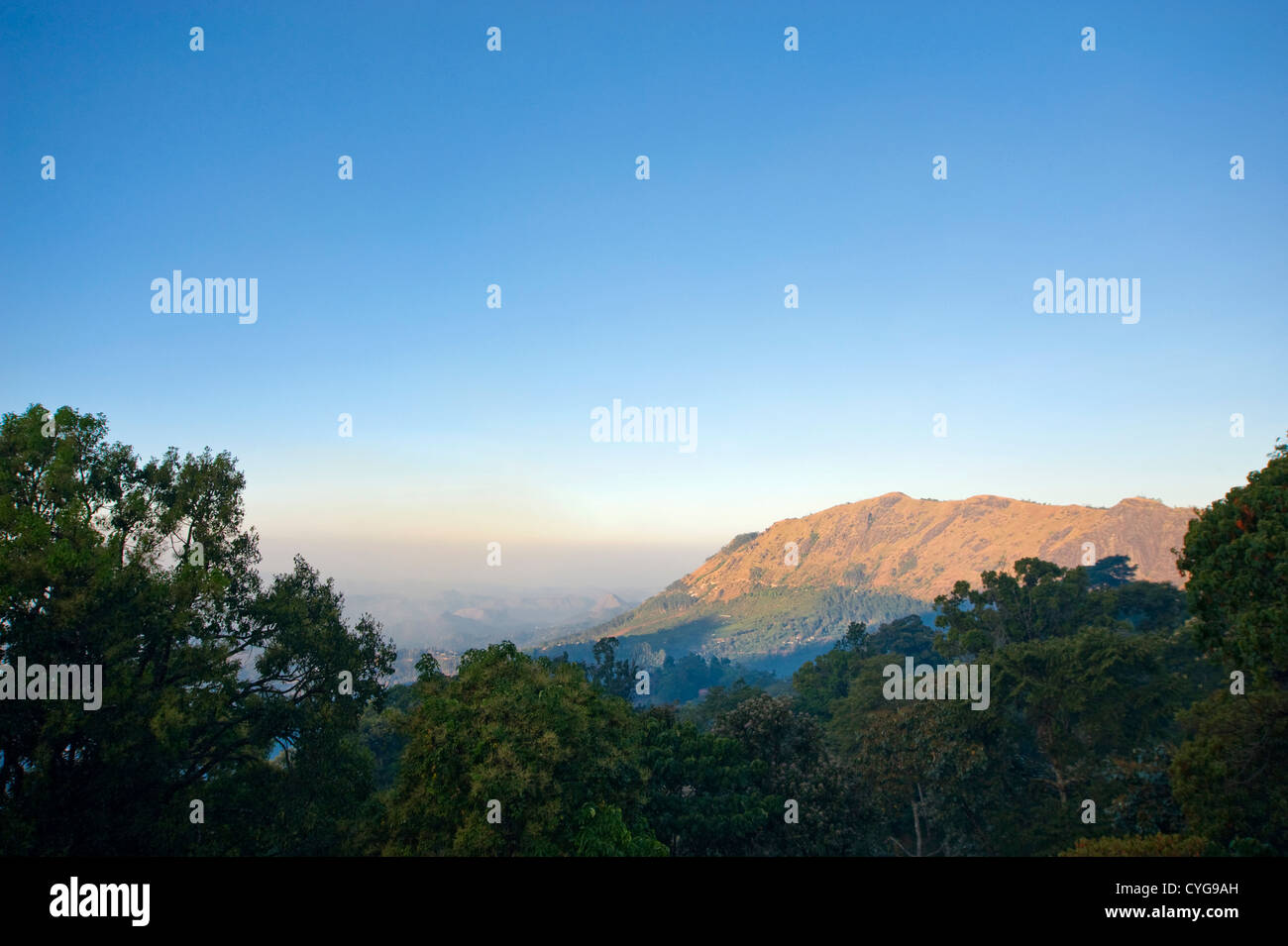 Horizontal aerial view of the stunning landscape high up in the Munnar ...