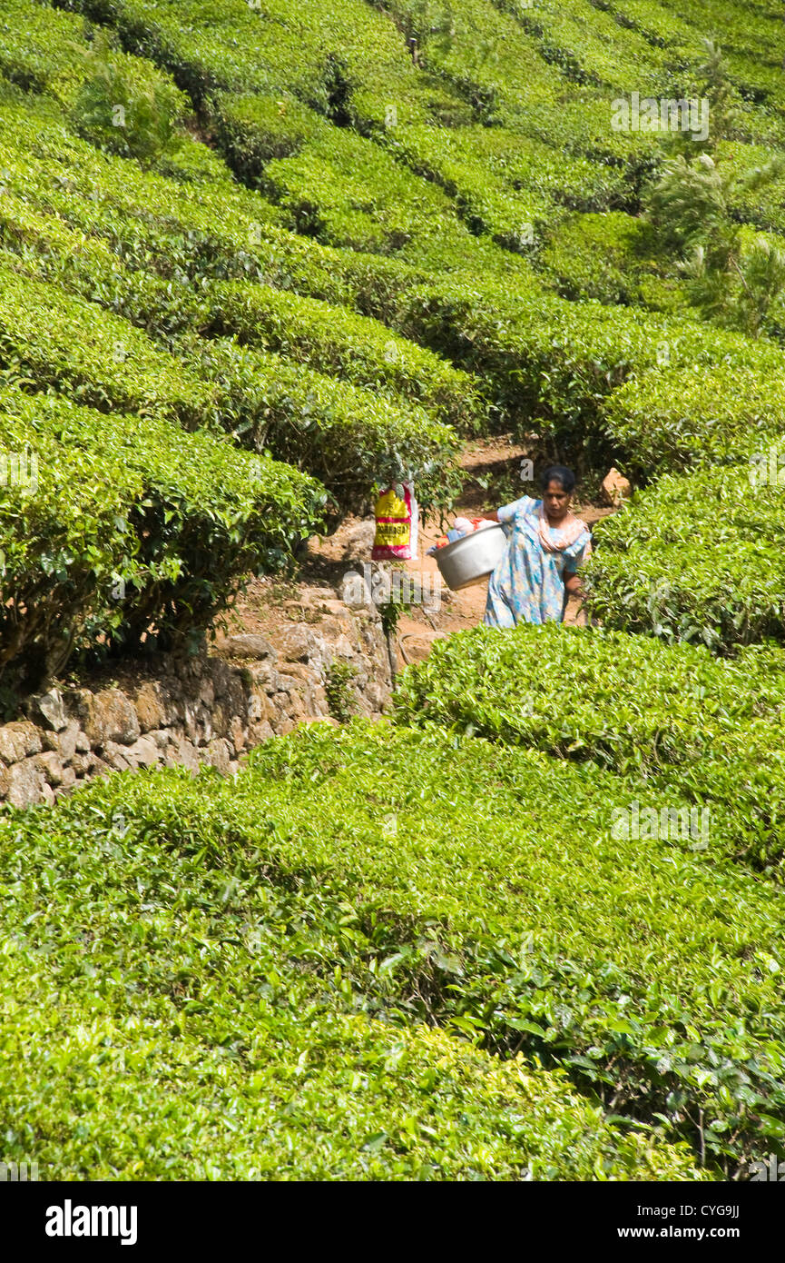 Rural countryside farm life poor poverty arable land third world hi-res ...