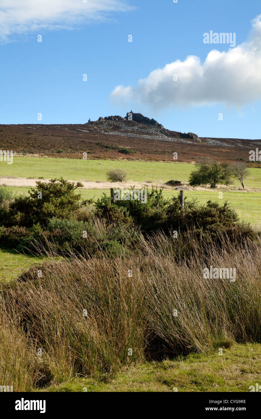 The Stiperstones National Reserve, with Manstone Rock in the distance ...