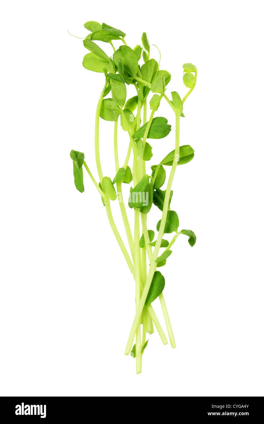 Snow vertical Cut Out Stock Images & Pictures - Alamy